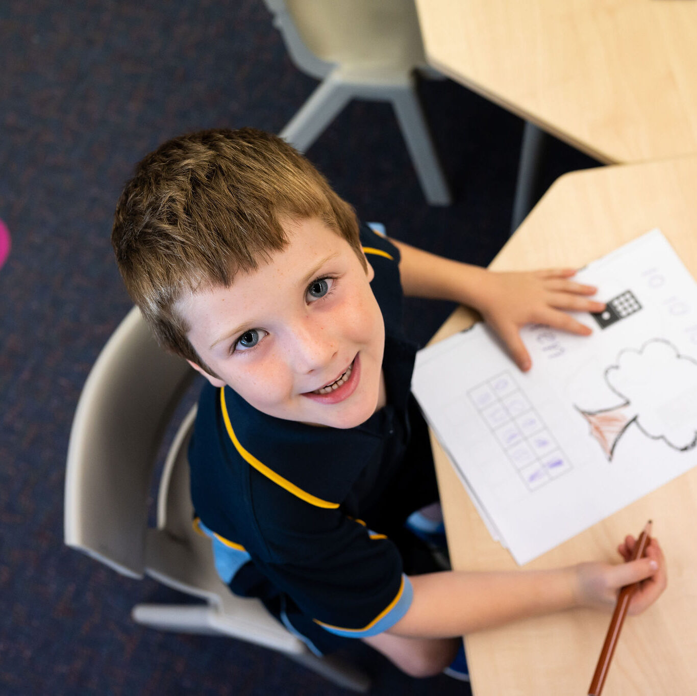Learning - Shellharbour Anglican College